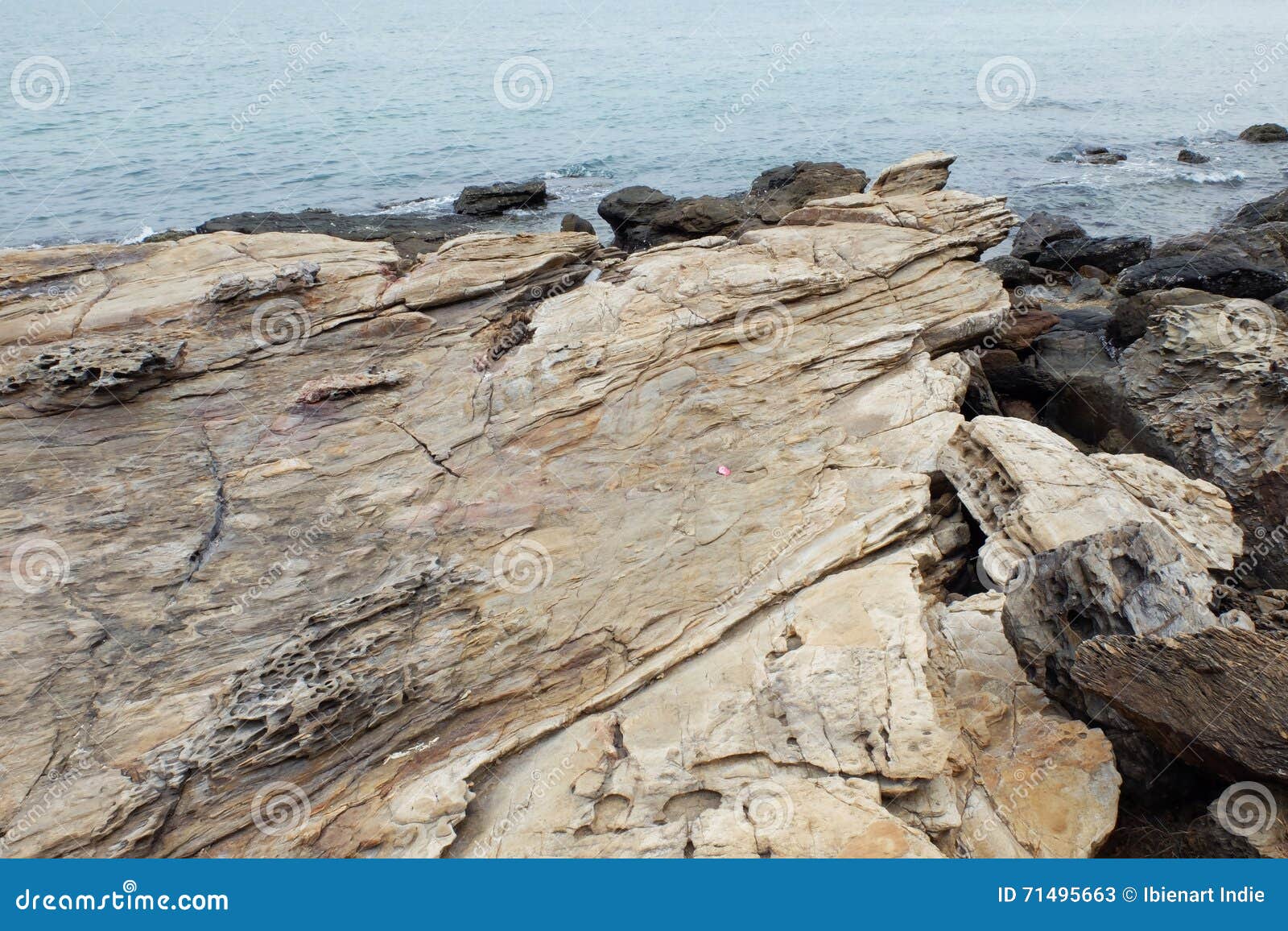 Sedimentary Rock at the Sea Stock Image - Image of texture, nature ...