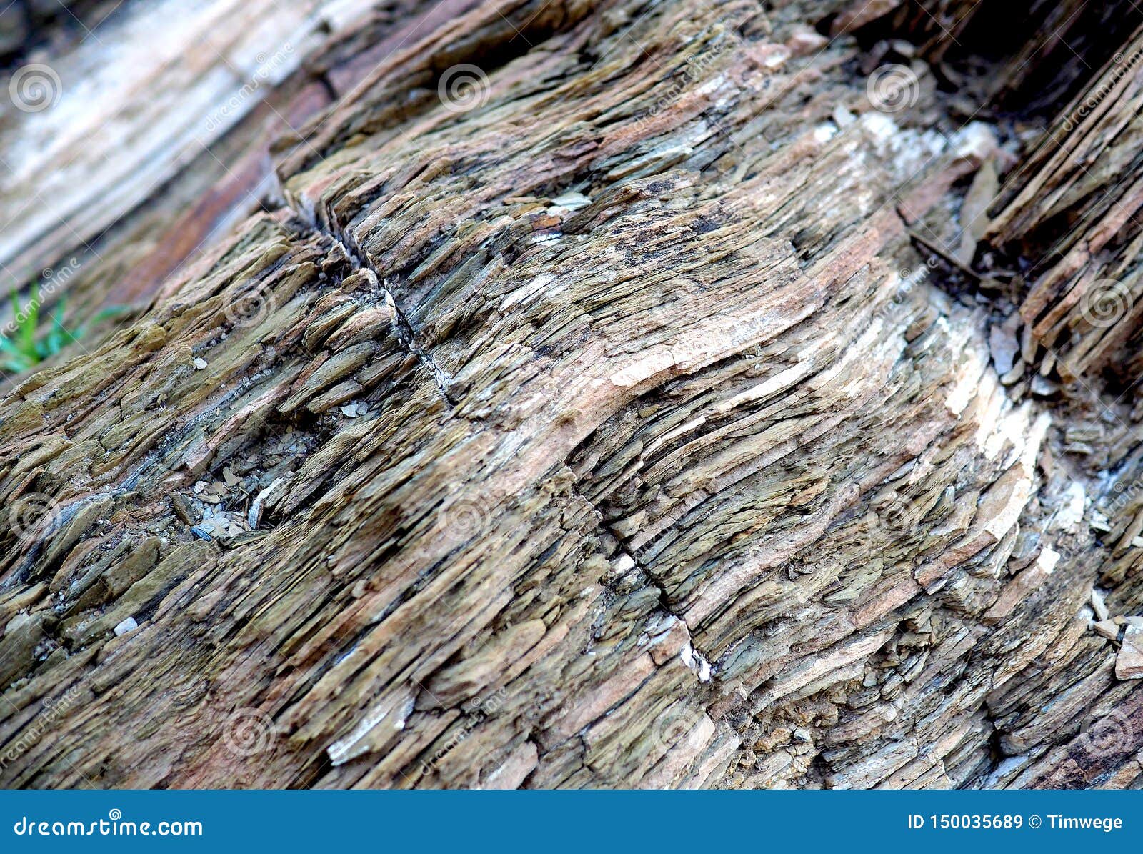 Sedimentary Sandstone Macro Detail Stock Image - Image of pattern ...