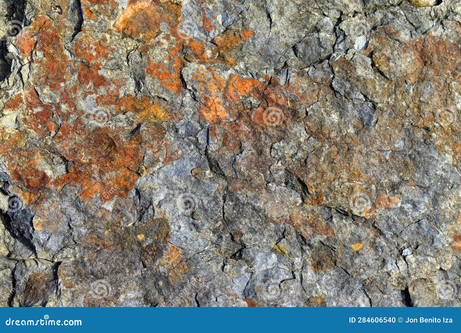 Sedimentary Slate from the Cretaceous (Valanginian). 135 Mya Stock ...