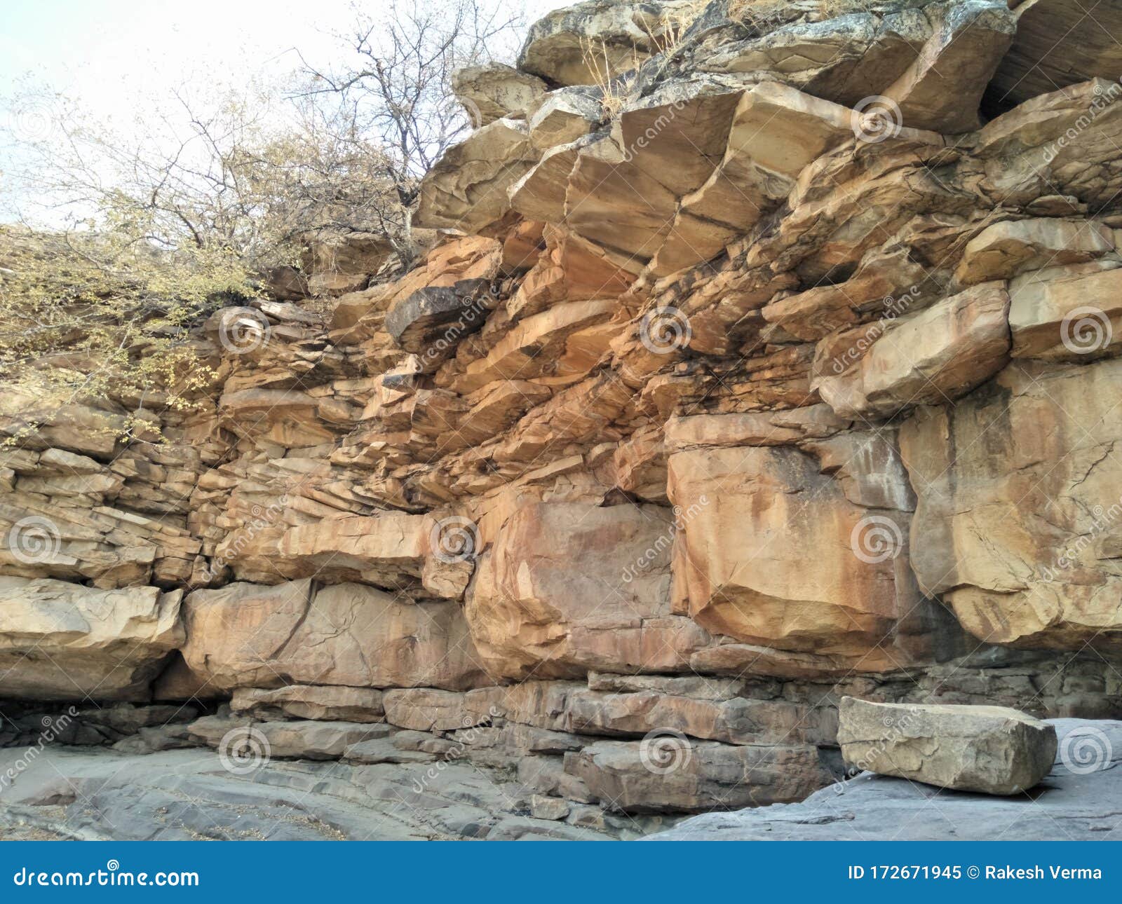 Sedimentry rock formation stock image. Image of tree - 172671945