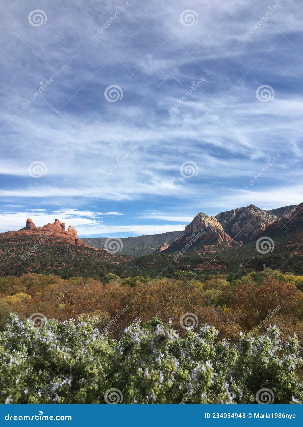 Sedona, Arizona in November. Stock Image - Image of flower, autumn ...