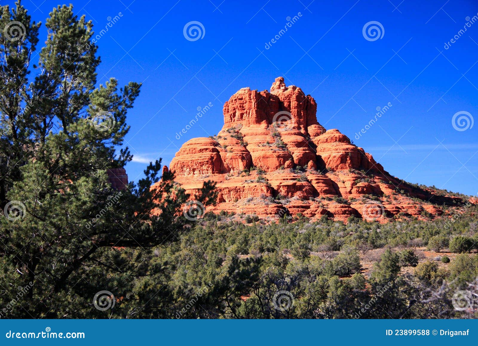 Sedona Arizona Red Rock Mountains Stock Photo - Image of summer, trees ...