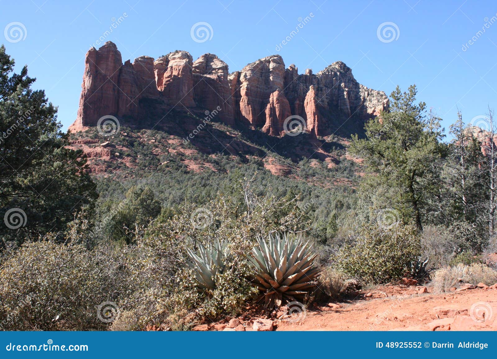 Sedona Arizona stock photo. Image of cactus, formation - 48925552