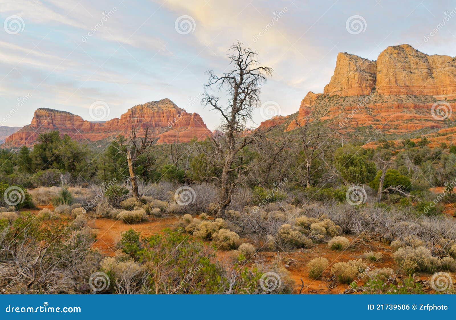 Sedona Buttes and Forest at Sunset Stock Photo - Image of yavapai ...