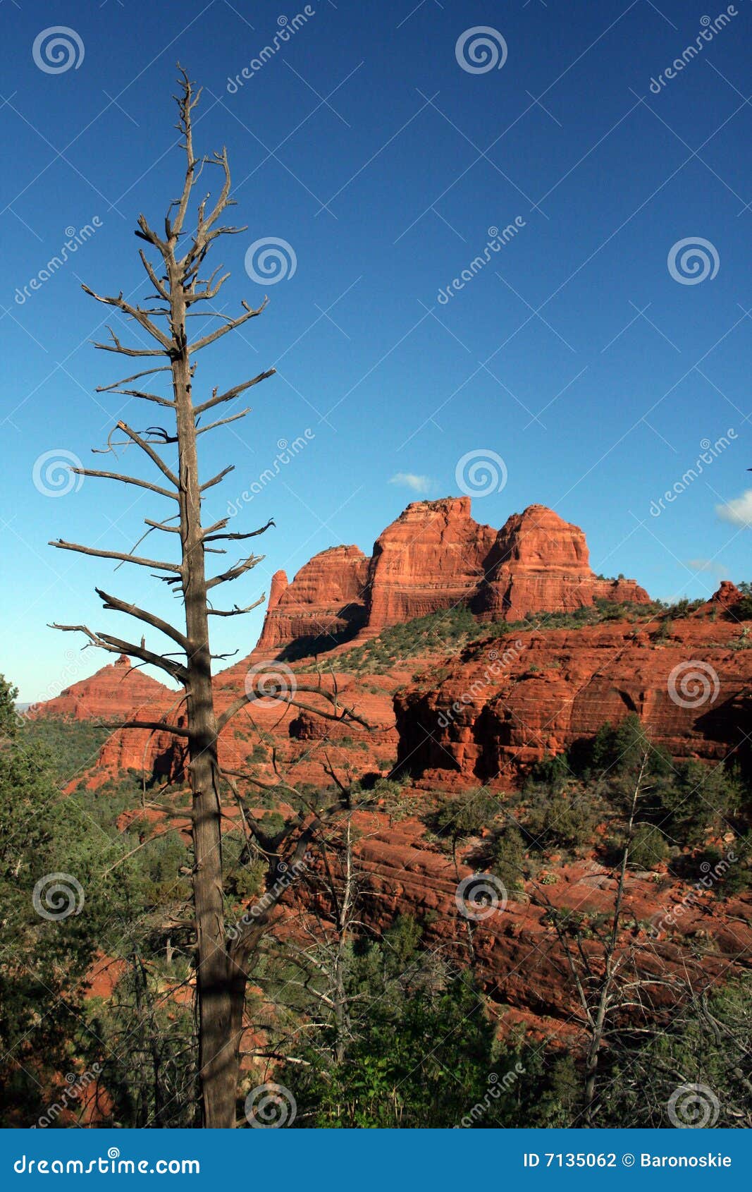 Sedona Mountains stock photo. Image of rock, arizona, dead - 7135062