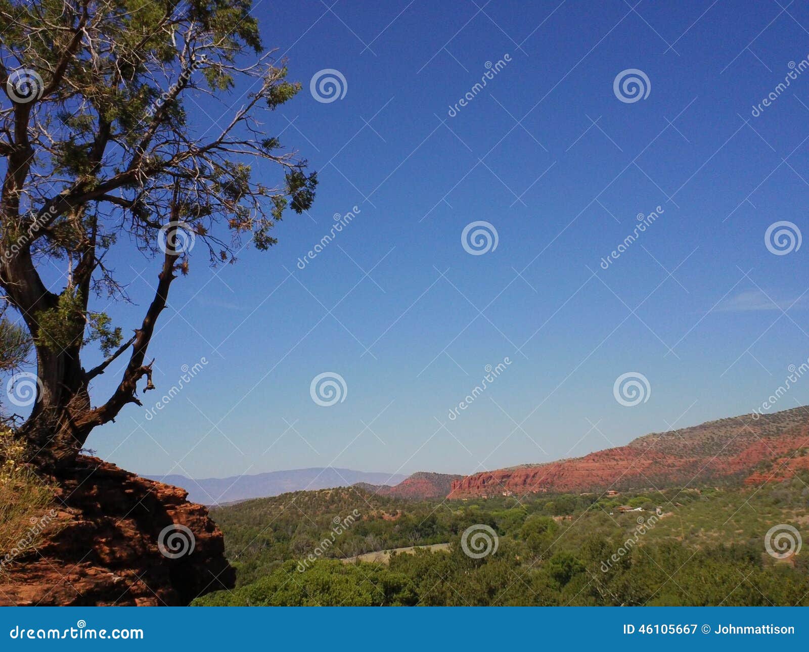 Sedona Red Rocks with a Jasper Tree Stock Image - Image of town, blake ...