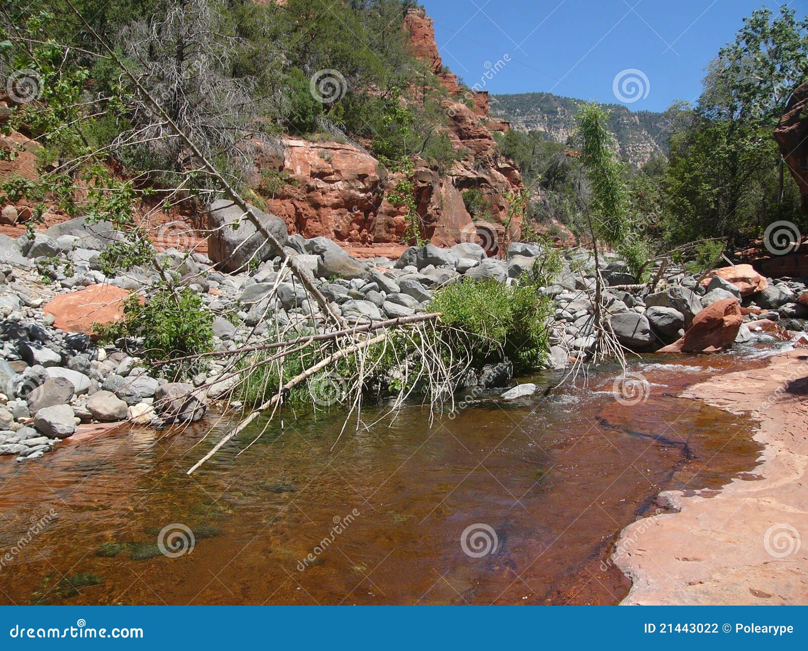 Sedona Slide Rock Area stock photo. Image of water, arizona - 21443022