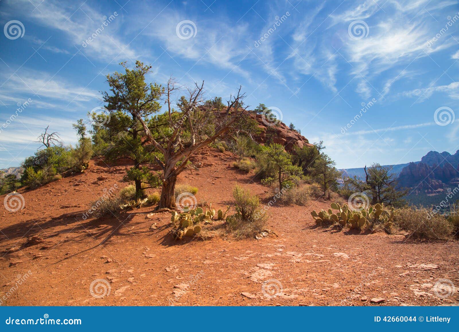 Sedona Vortex stock photo. Image of power, sacred, arizona - 42660044