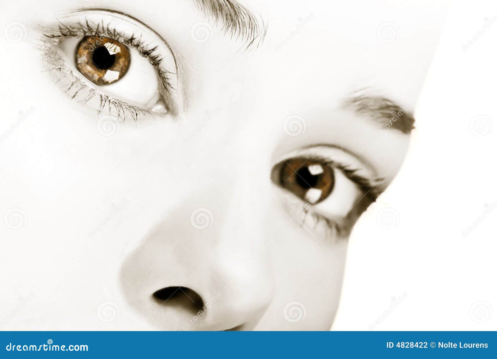 Seductive Eyes stock photo. Image of focus, healthy, cosmetic - 4828422