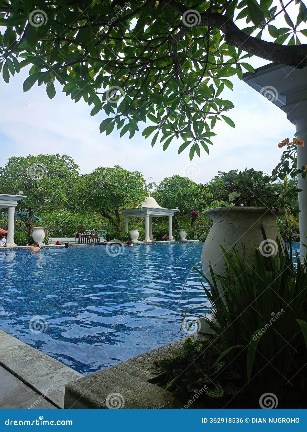 See the Atmosphere of the Swimming Pool in the Morning Stock Photo ...