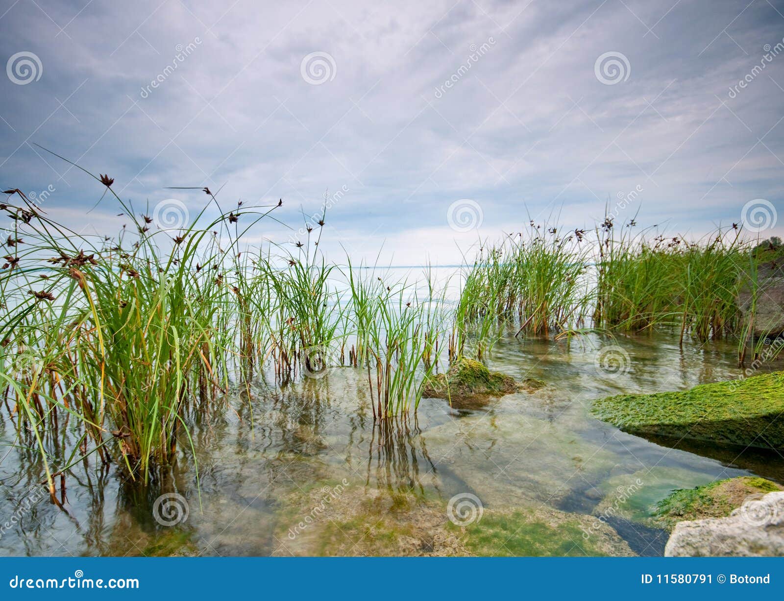 See Balaton Ungarn stockbild. Bild von stein, welt, ferien - 11580791