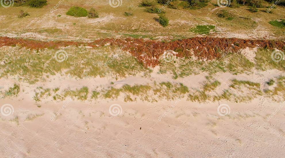 We See a Beautiful Abstraction. Stock Photo - Image of real, brown ...