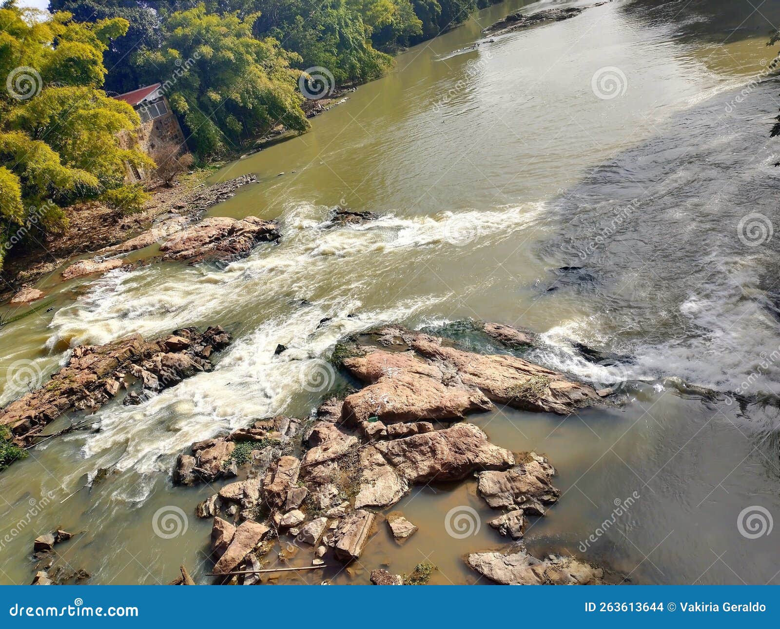 We See a Beautiful Stream with Plenty of Water Flow and Beautiful Trees ...