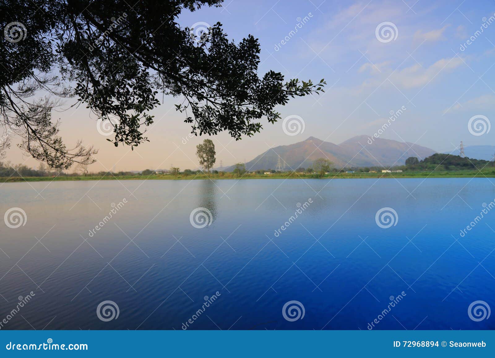 See bei Shan Pui Tsuen stockfoto. Bild von sumpfgebiet - 72968894