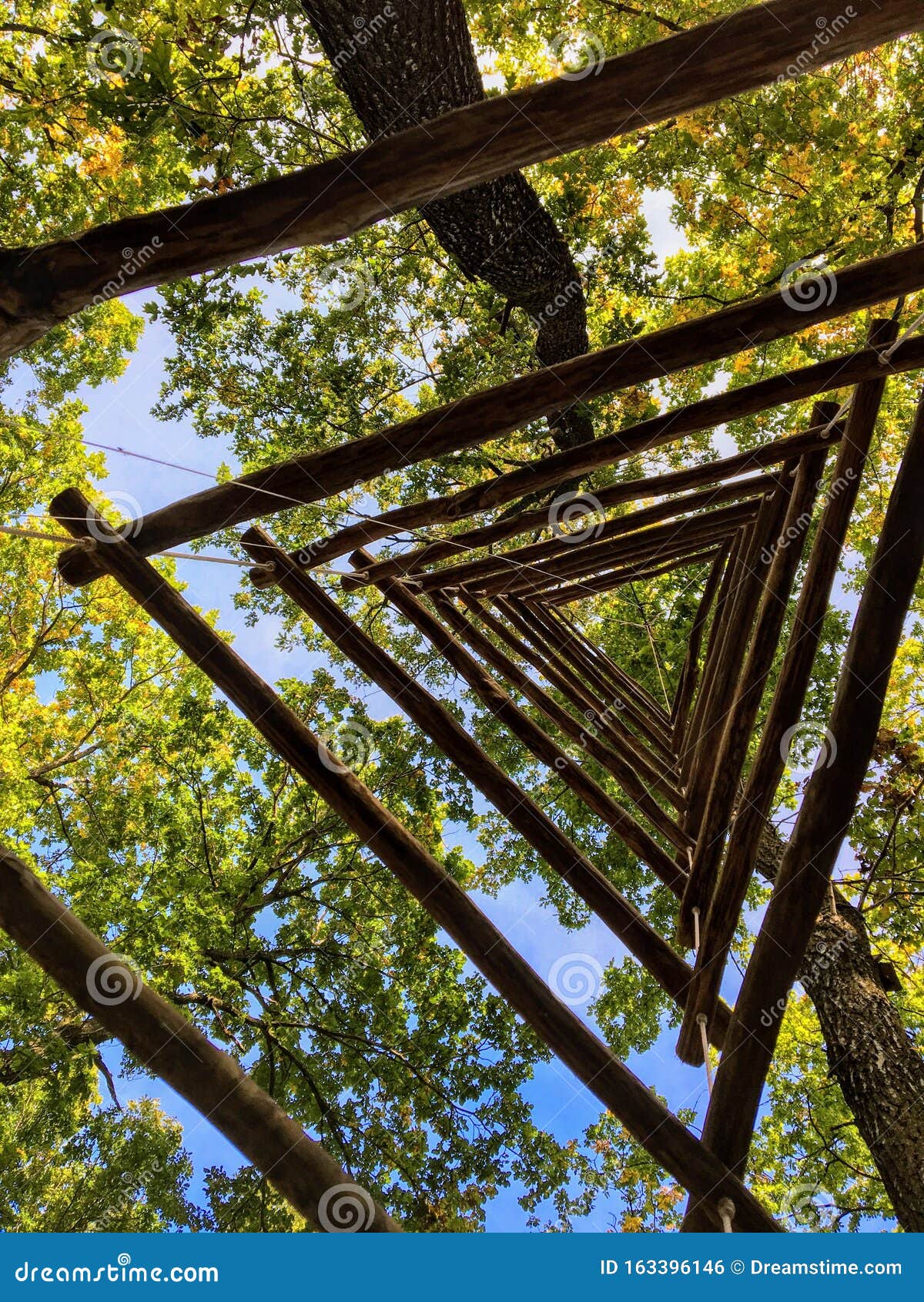 Triangles Hanging in the Trees Stock Photo - Image of blue, outdoor ...
