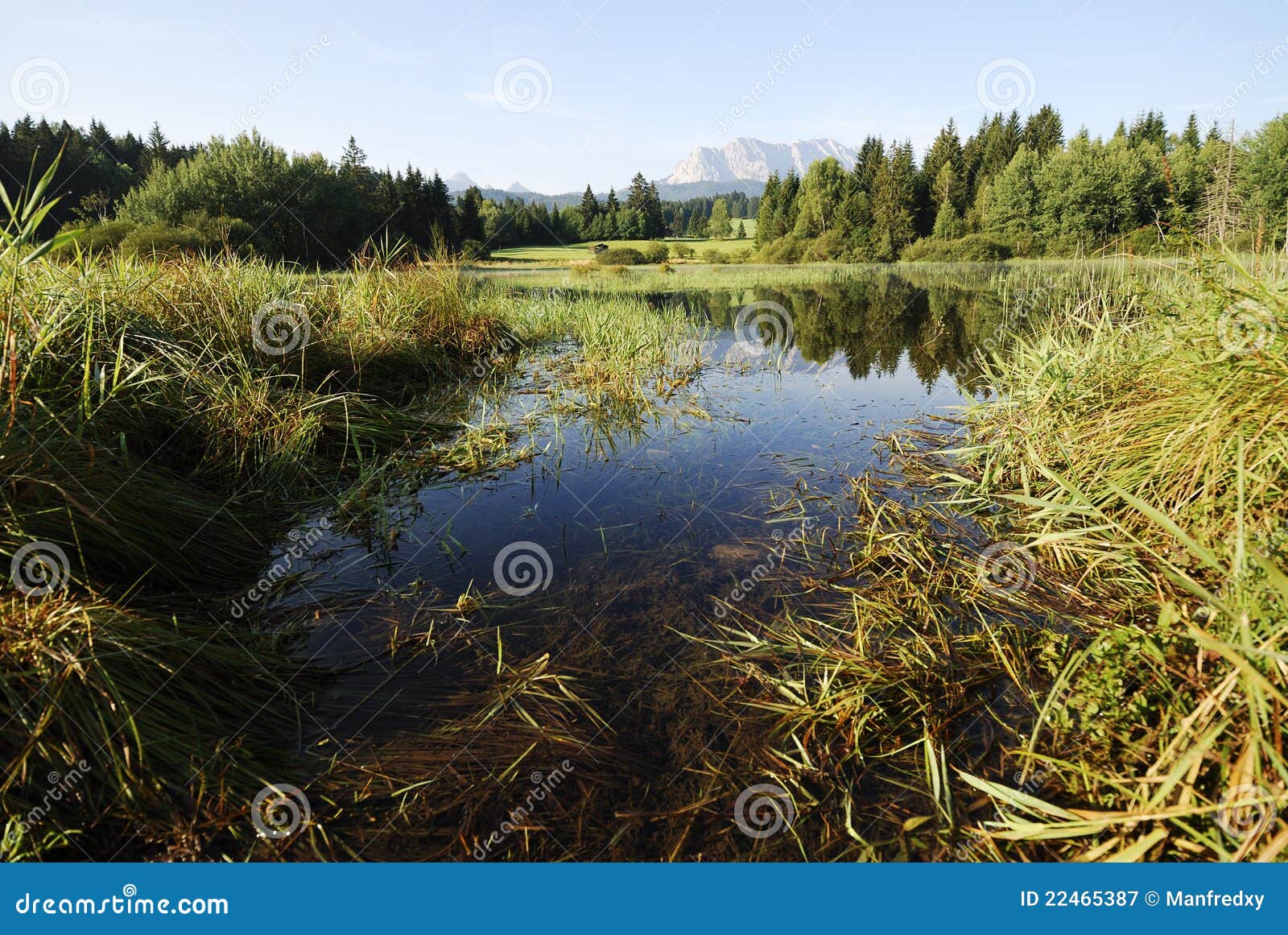 See in den Alpen stockbild. Bild von alpen, seeufer, gras - 22465387