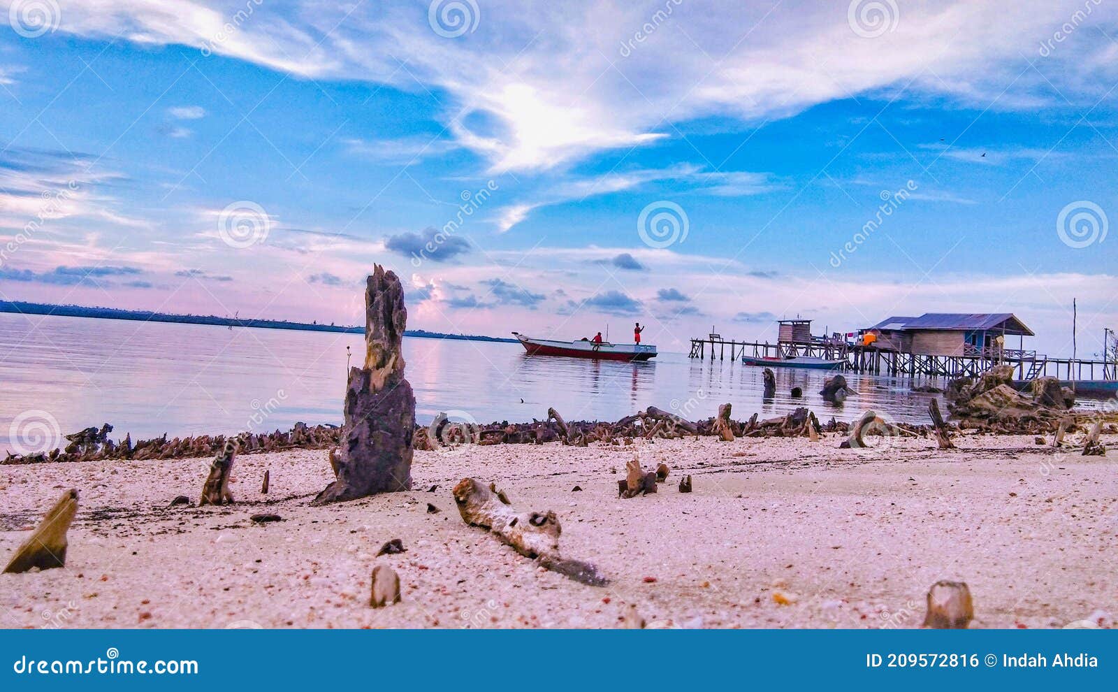 See it from different side stock photo. Image of morning - 209572816