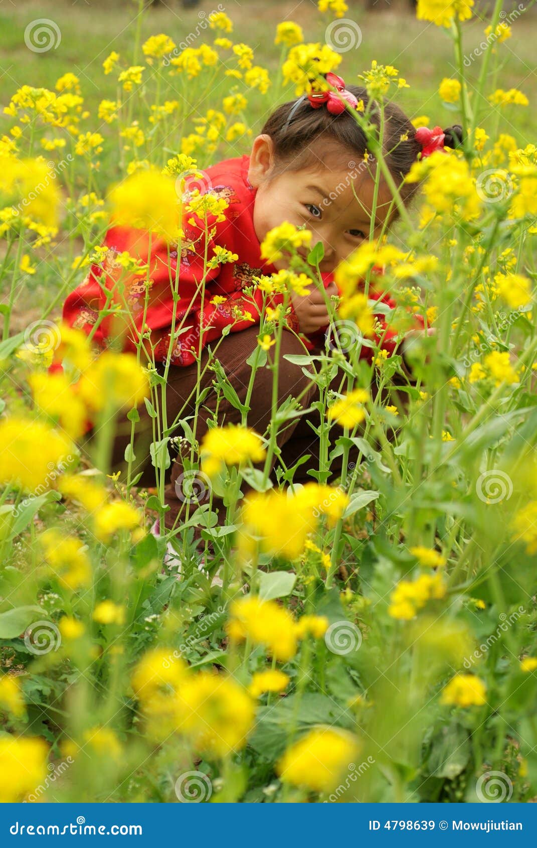 See flowers stock image. Image of asians, green, girls - 4798639