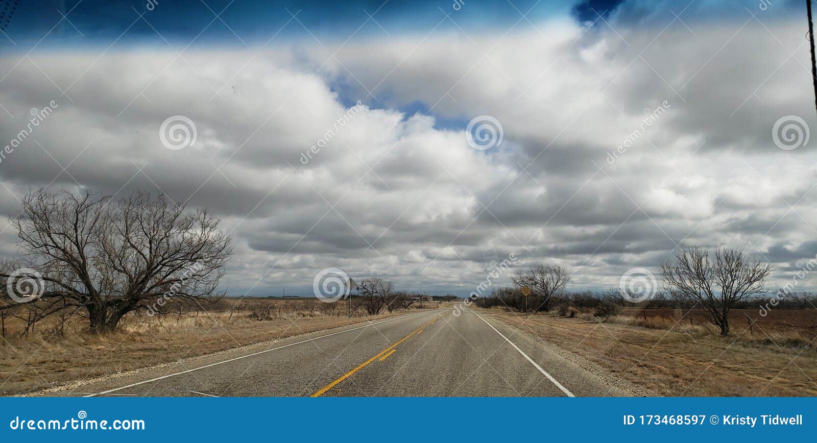 See Forever Sky stock image. Image of trees, blue, white - 173468597