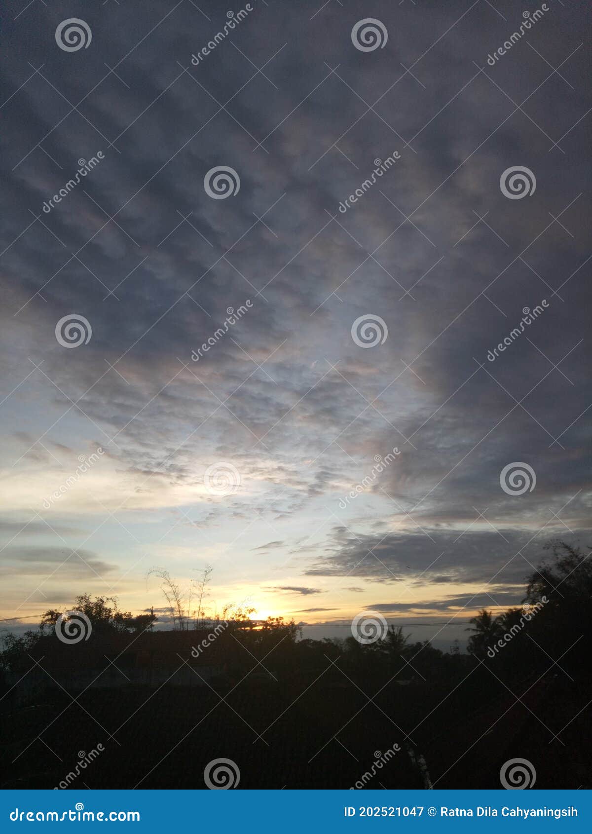 See the future stock image. Image of bright, shine, sunrise - 202521047