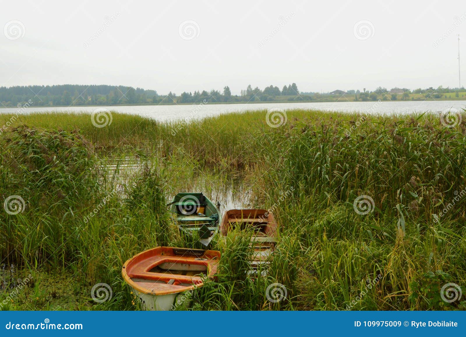 See Mit Boot Drei Auf Ufer Und Binse Stockbild - Bild von nave, binse ...