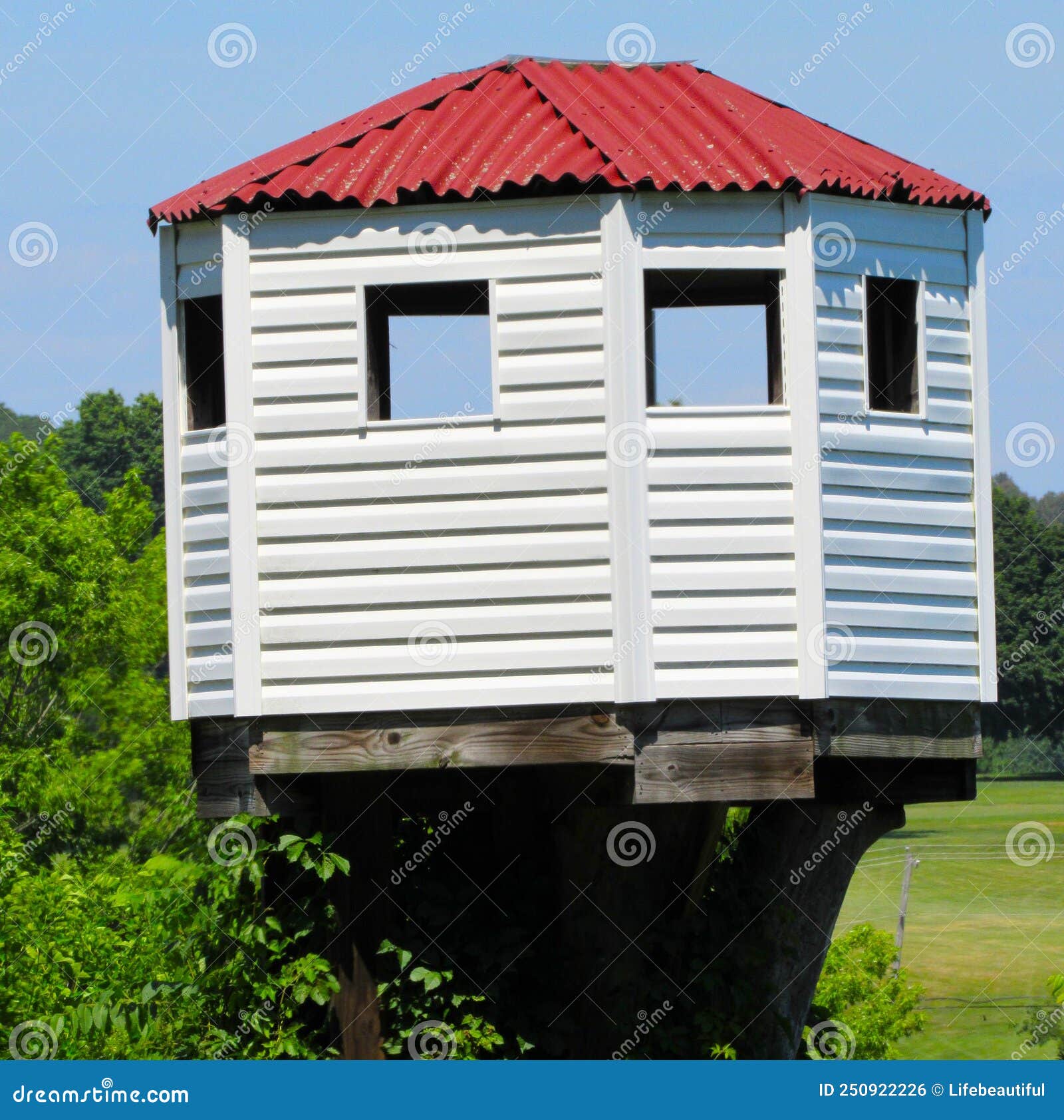 Tree house stock photo. Image of home, siding, treehouse - 250922226