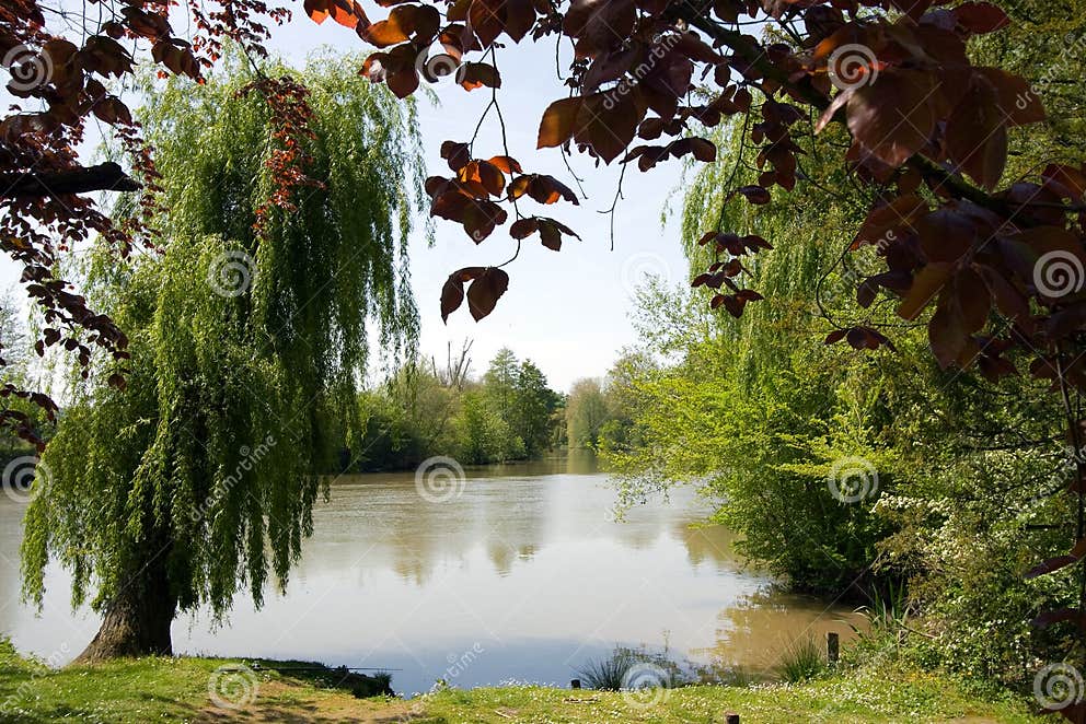 See through from Park To River Stock Photo - Image of outside ...