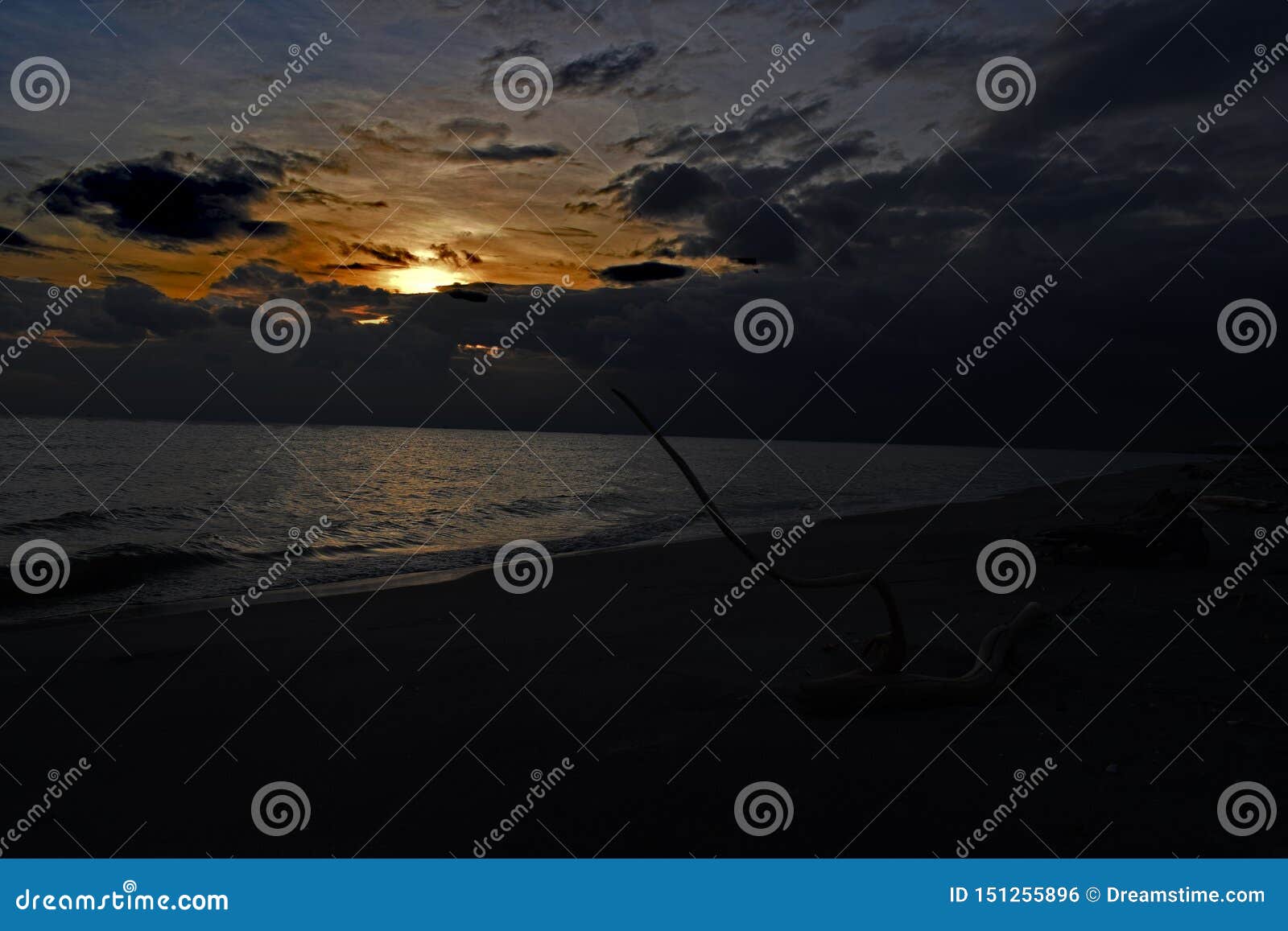 See the Sunset on the Beach by Night Stock Photo - Image of view ...