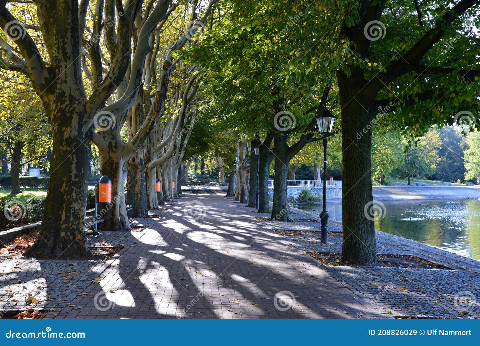 Am See Ufergegendpark Tegeler Sehen Im Herbst in Der Nachbarschaft Von ... Am See Ufergegendpark Tegeler Sehen Im Herbst in Der Nachbarschaft Von ...