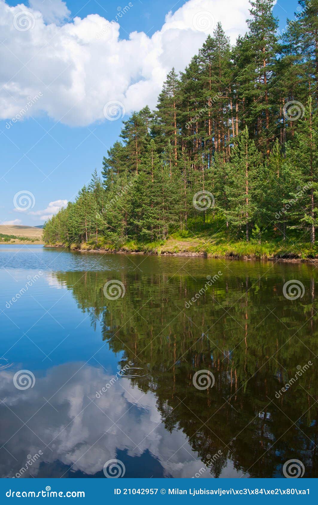 See Und Wald Auf Zlatibor Berg Stockbild - Bild von gras, sommer: 21042957