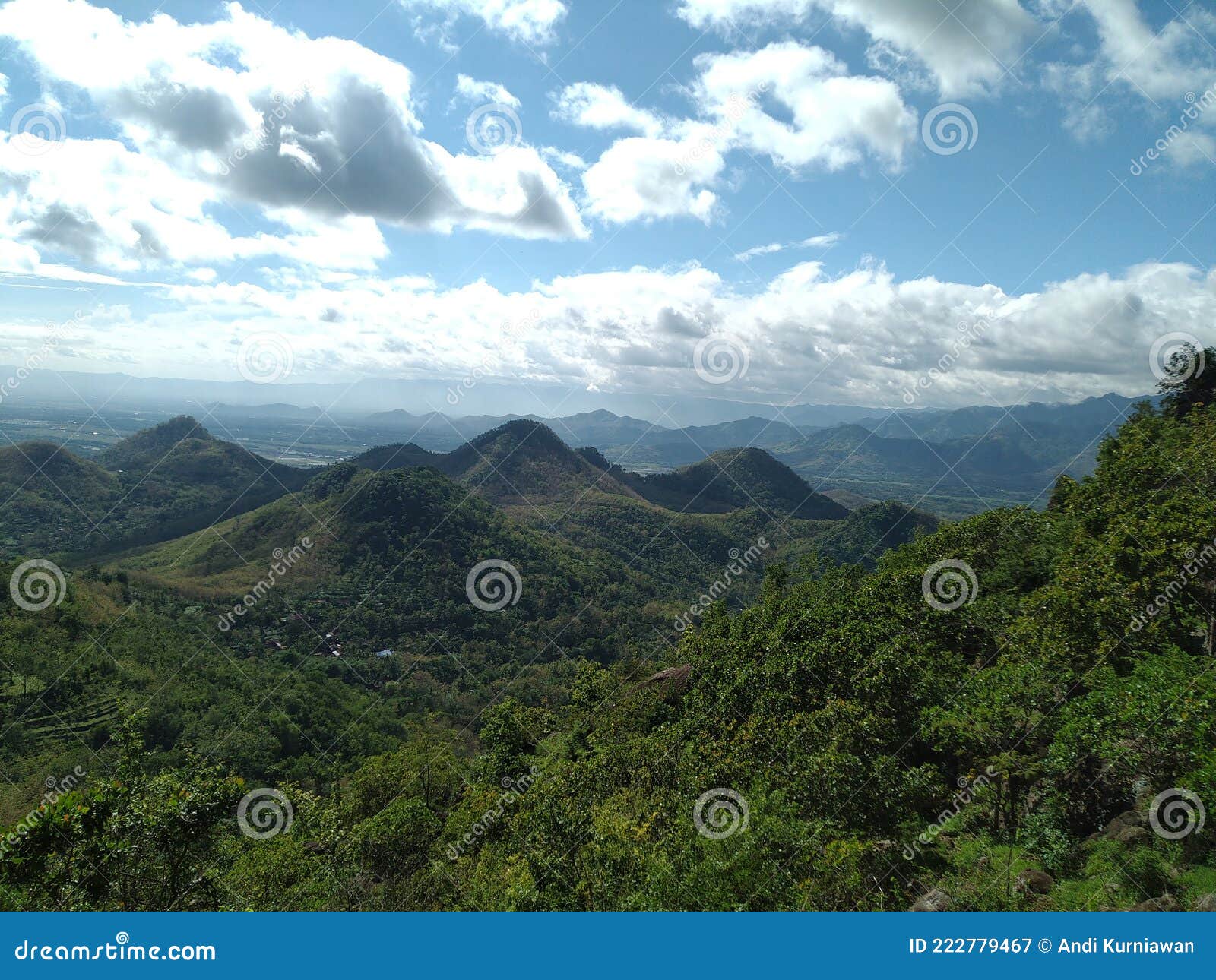 See the view on the hill stock image. Image of forest - 222779467