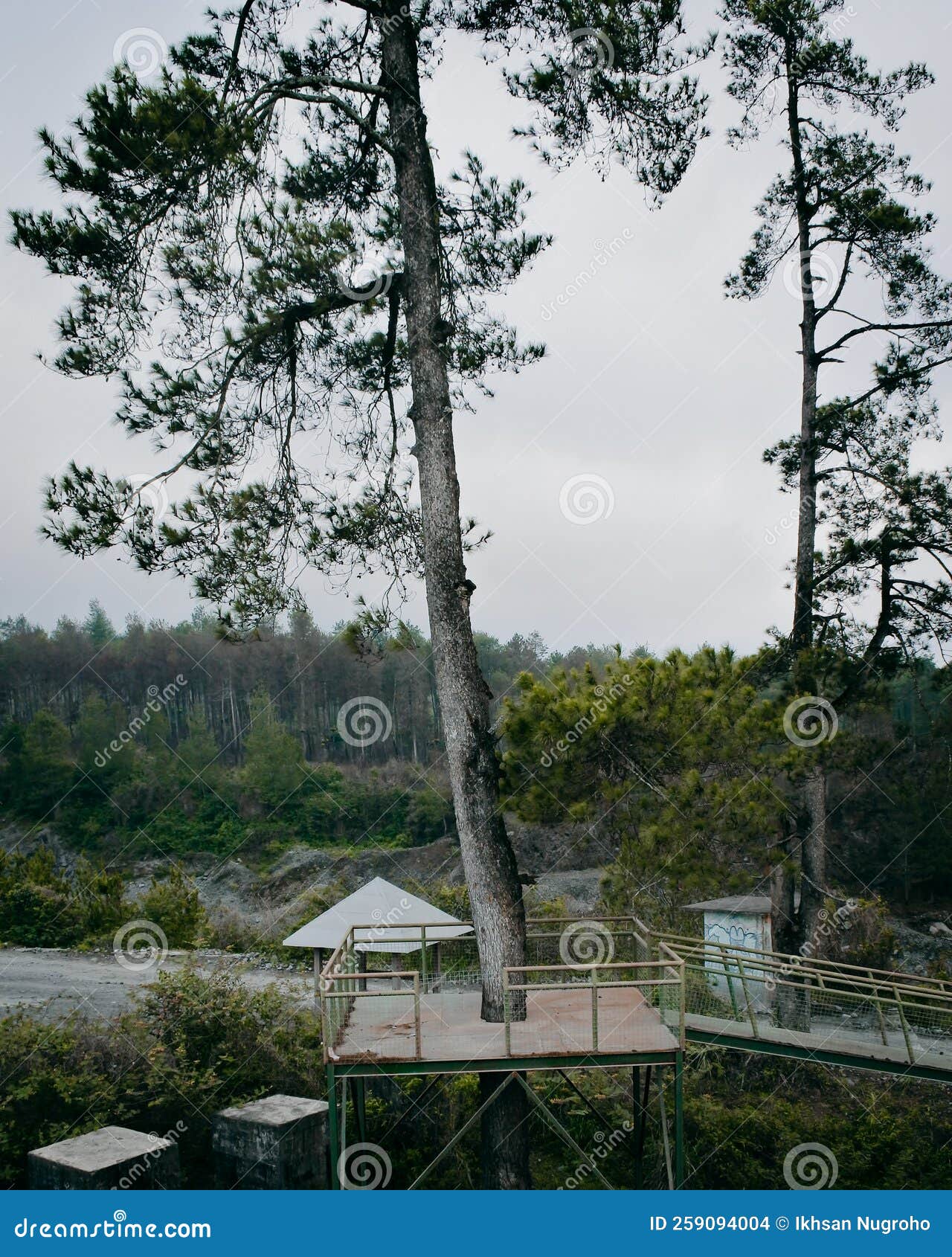 See the View from the Top of the Tree House Stock Photo - Image of tree ...