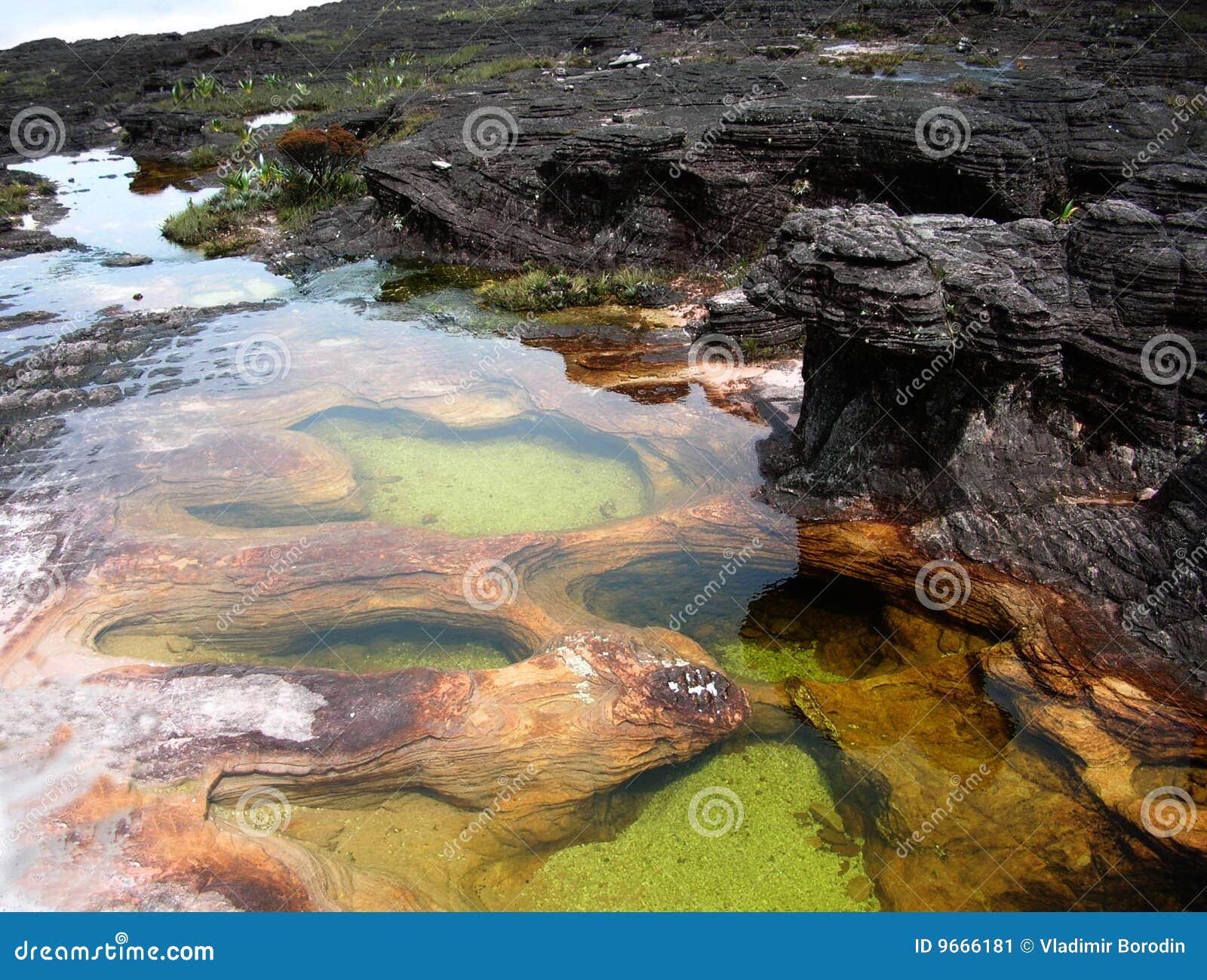 See through water stock image. Image of ptari, increadible - 9666181