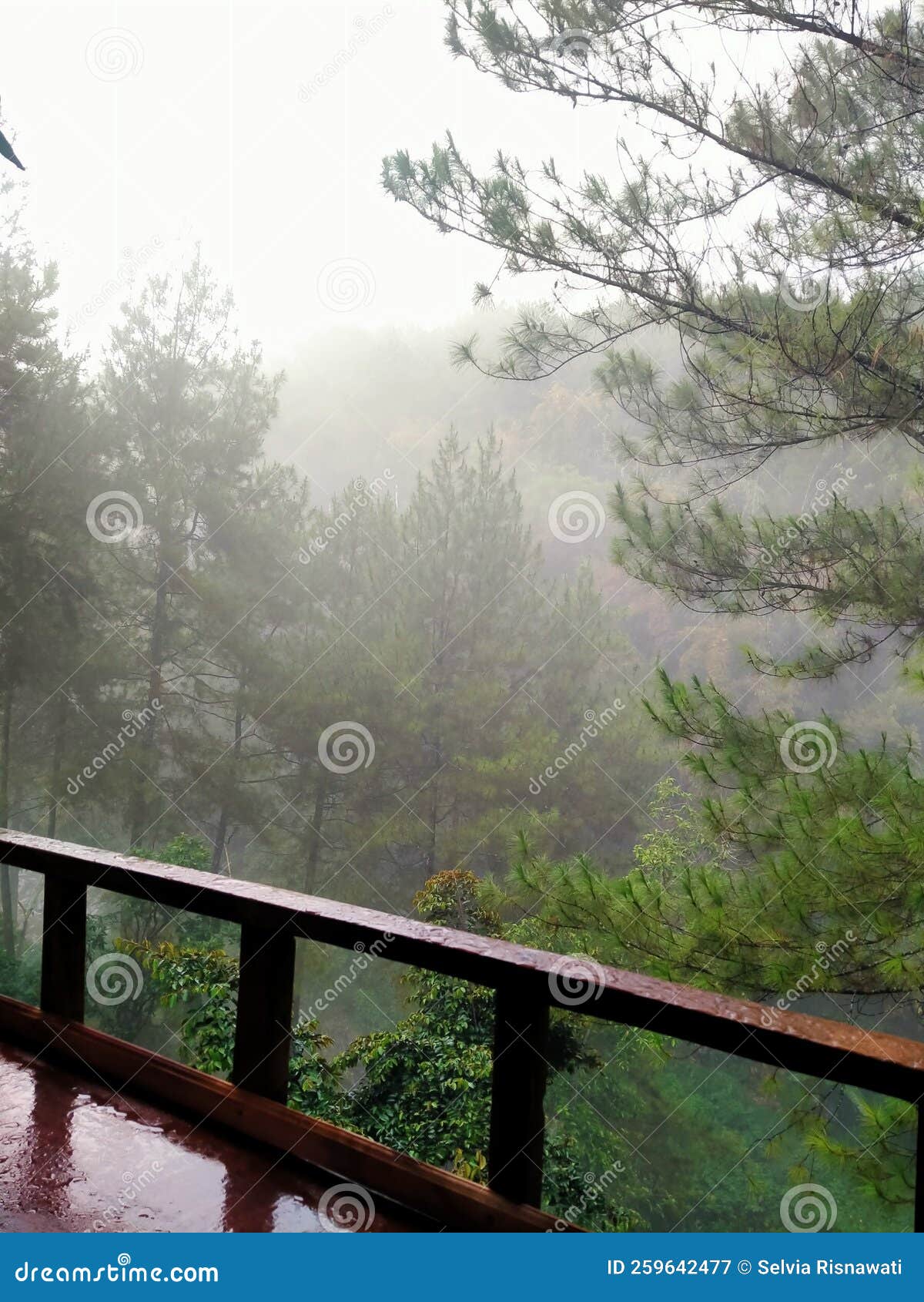 See White Mist Falling from the Sky from Inside the Cafe Stock Image ...