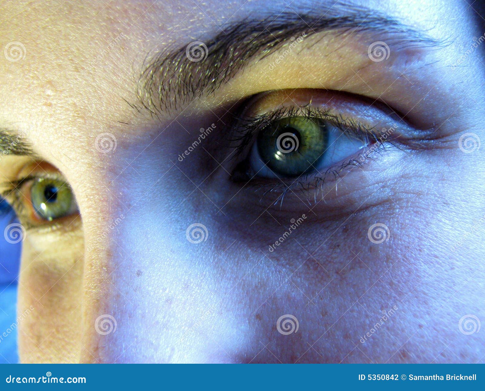 See the Worry in My eye stock photo. Image of eyes, expectant - 5350842