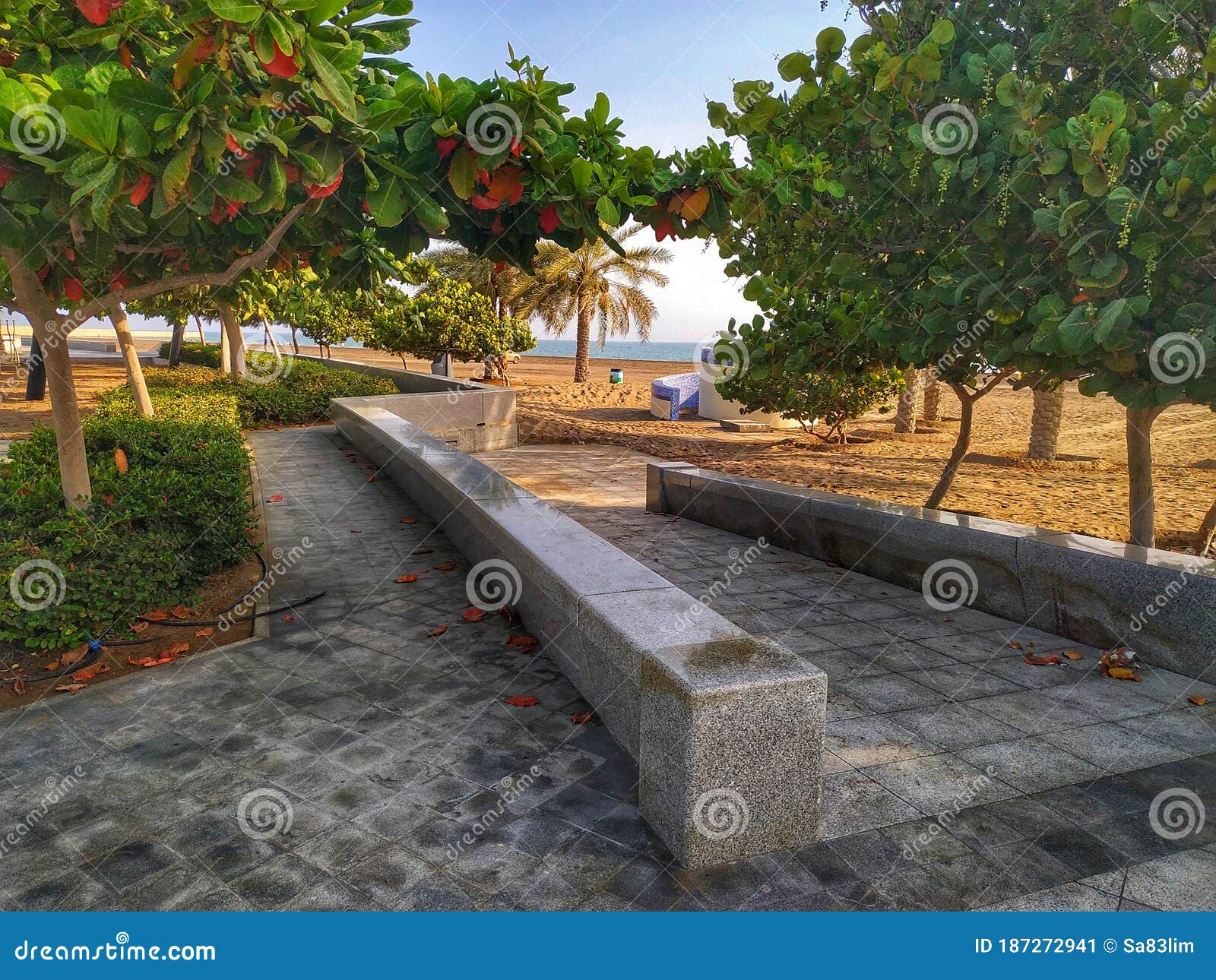 Seeb Beach Walking Park, Muscat Oman Stock Image - Image of seeb, tree ...