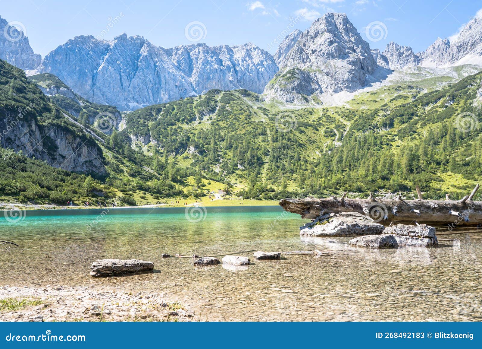 Seebensee lake, Austria stock image. Image of green - 268492183