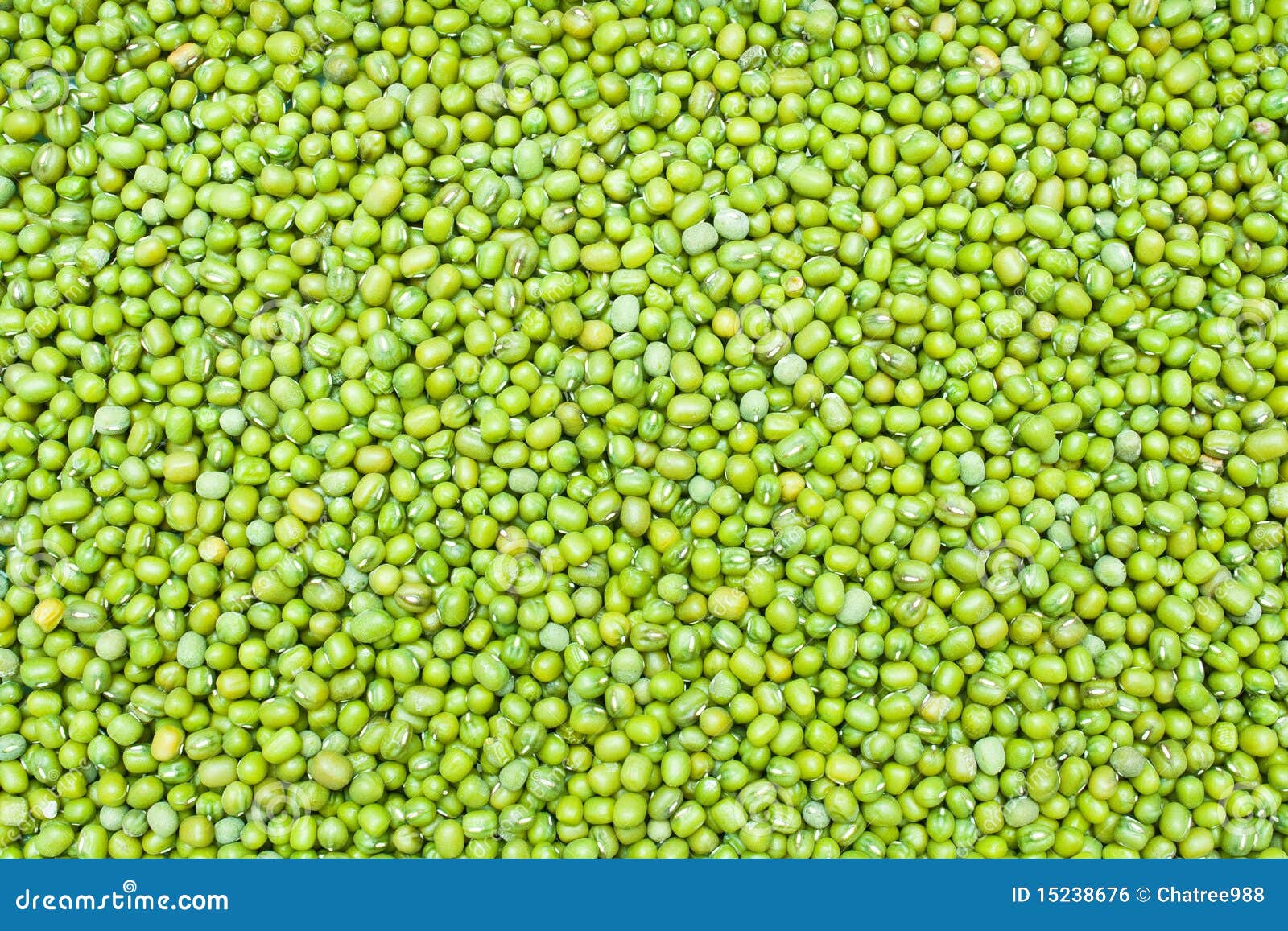Seed stock photo. Image of plant, green, origin, seed - 15238676