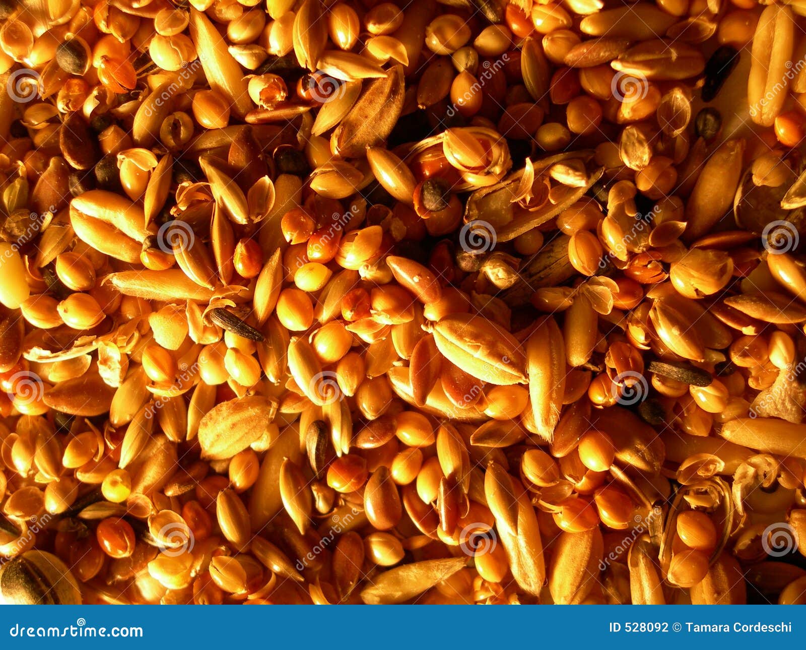 Seme Clipart And Illustrations