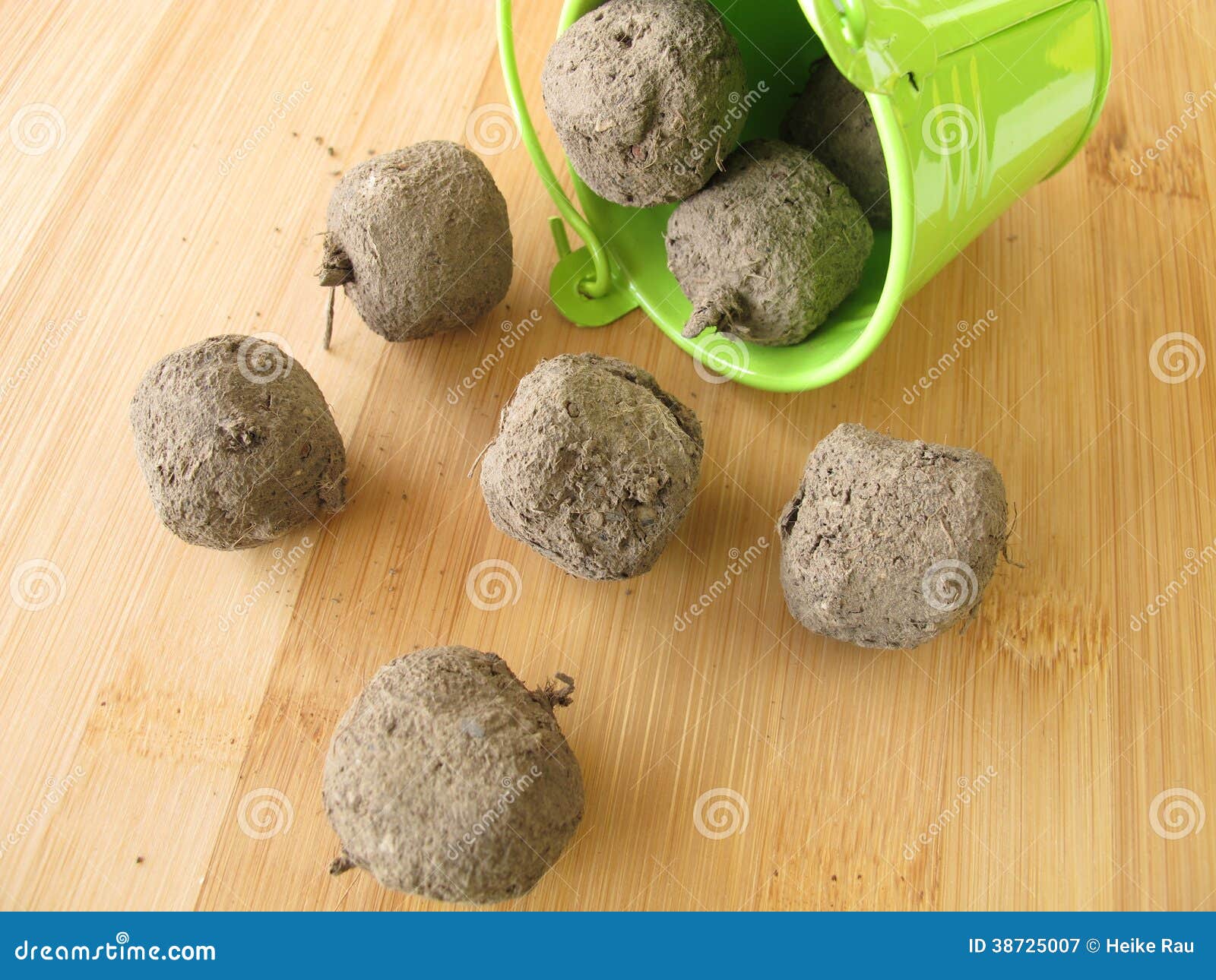 Seed balls and seeds stock image. Image of gardeners - 38725007