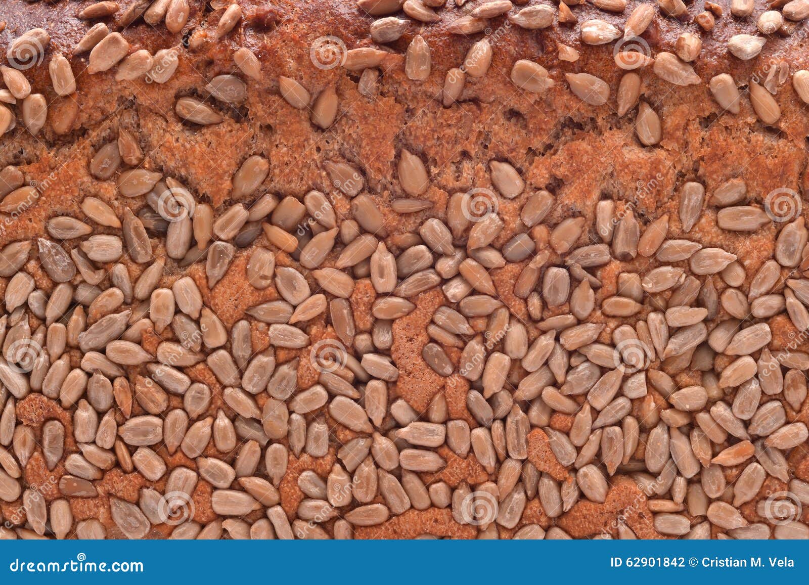 Seed bread texture stock photo. Image of sunflower, seed - 62901842