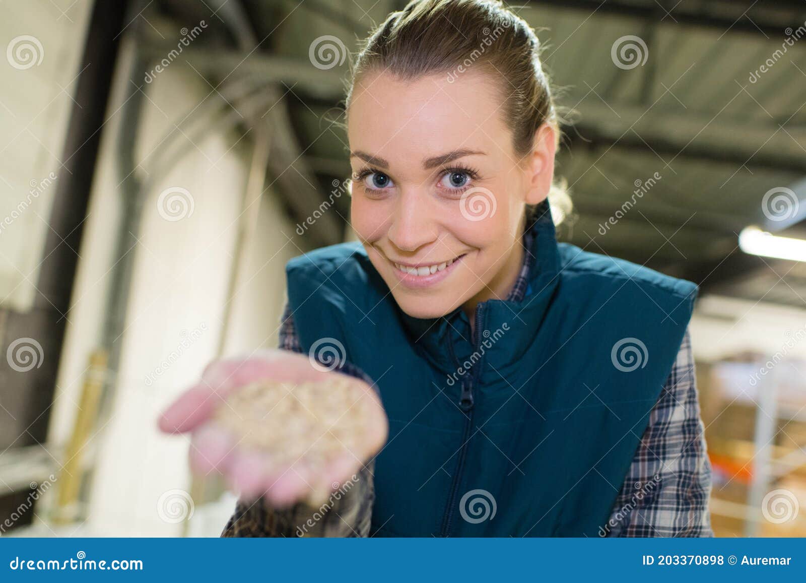 Seed in Female Hand Preparing To Plant in Farm Stock Photo - Image of ...