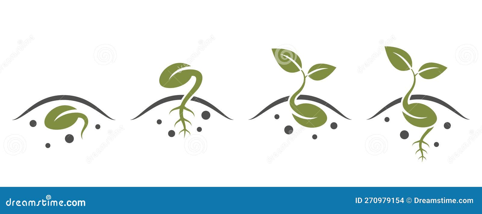 Seed Germination Icon Set. Sprouting, Planting, Seedling and ...
