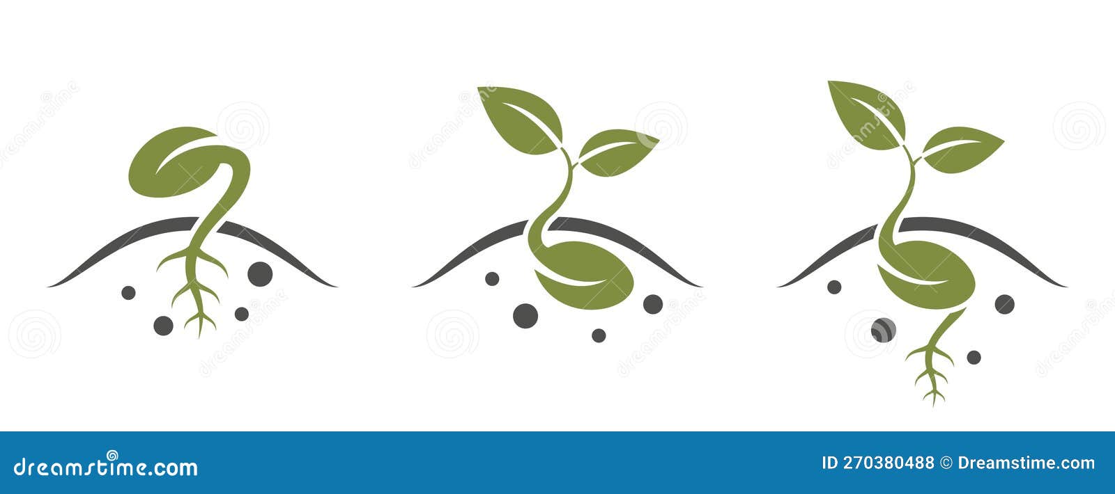 Seed Germination Icon. Sprouted Seed, Seedling and Planting Symbol Stock Vector - Illustration ...