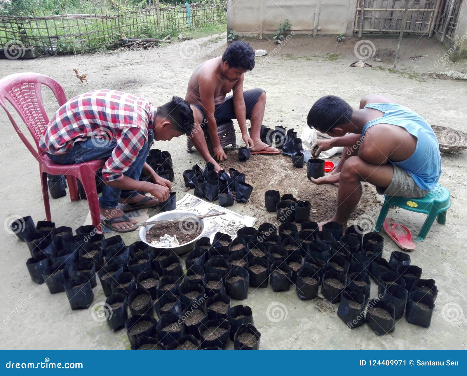 Seed Germination practices editorial photo. Image of local - 124409971