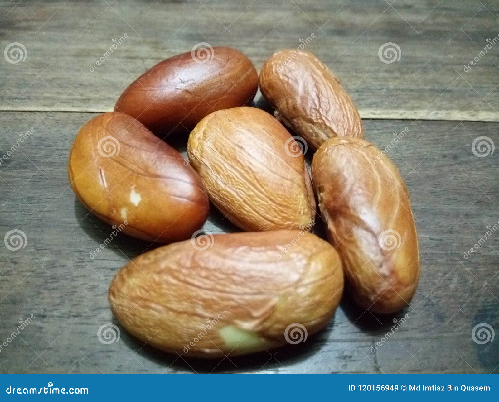 Seed Group stock image. Image of matters, seed, unity - 120156949