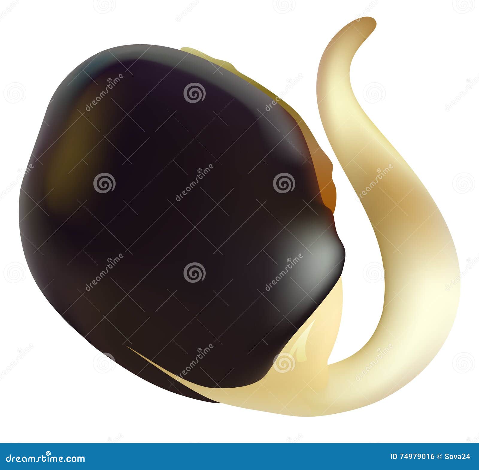 Seed illustration stock vector. Illustration of season - 74979016