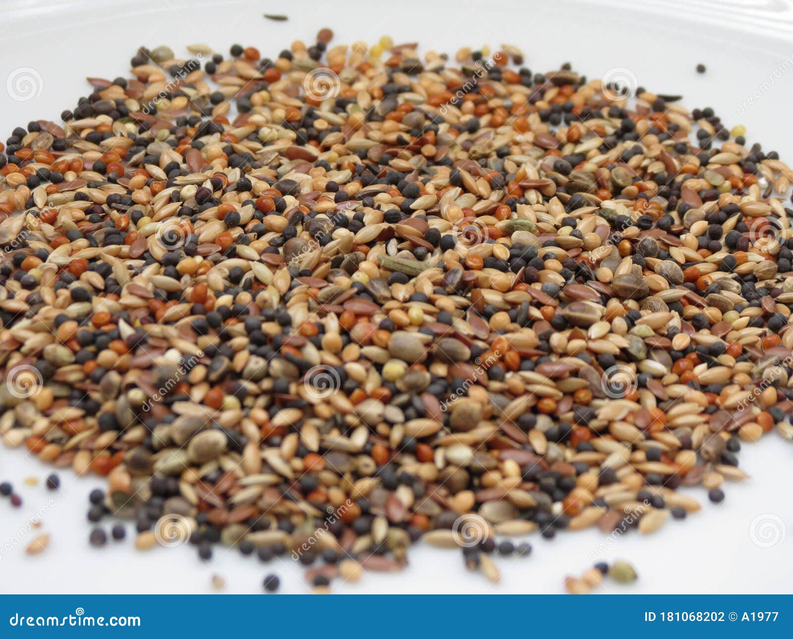 Seed mix for wild birds stock photo. Image of birds - 181068202