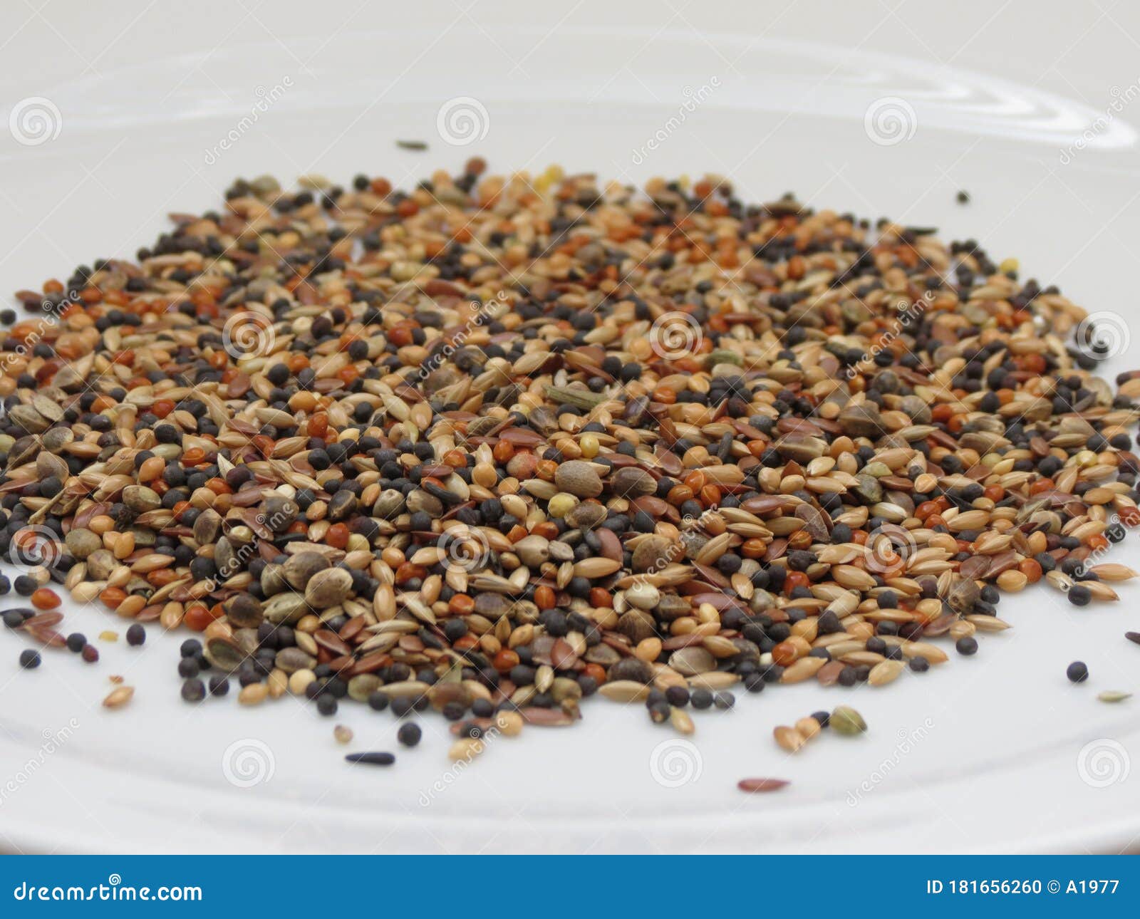 Seed mix for wild birds stock photo. Image of nutrition - 181656260