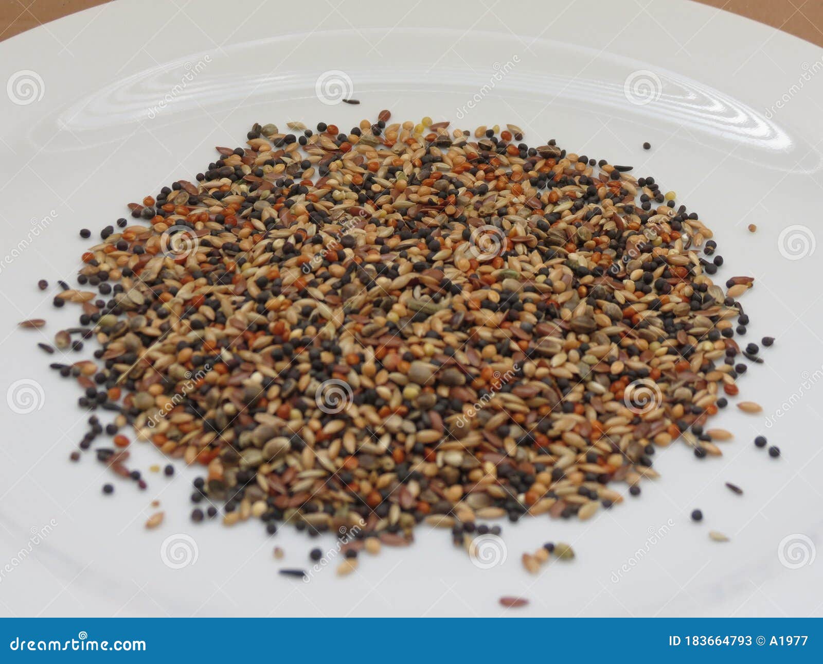 Seed mix for wild birds stock image. Image of diet, wild - 183664793
